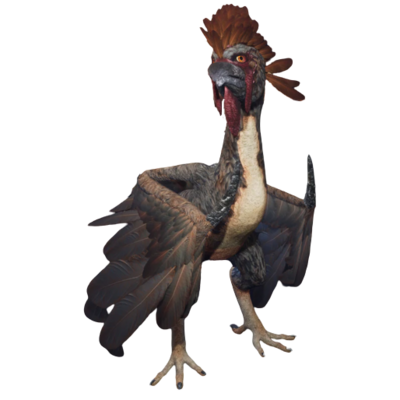 Cockatrice - Dark and Darker Wiki