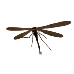 Monsters - Dark and Darker Wiki