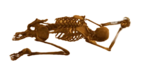 Skeleton Bones - Dark and Darker Wiki