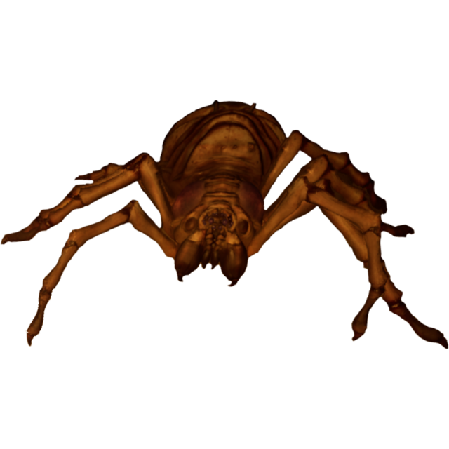 Giant Spider - Dark and Darker Wiki