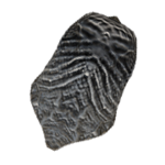 Bug Shell - Dark and Darker Wiki