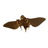 Bug Shell - Dark and Darker Wiki