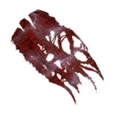 Spectral Knight - Dark and Darker Wiki